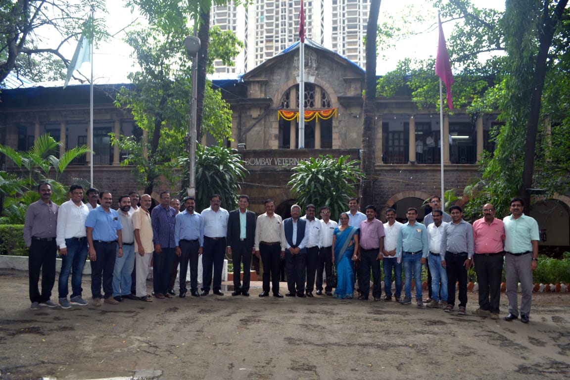 MVC - Veterinary Surgery & Radiology