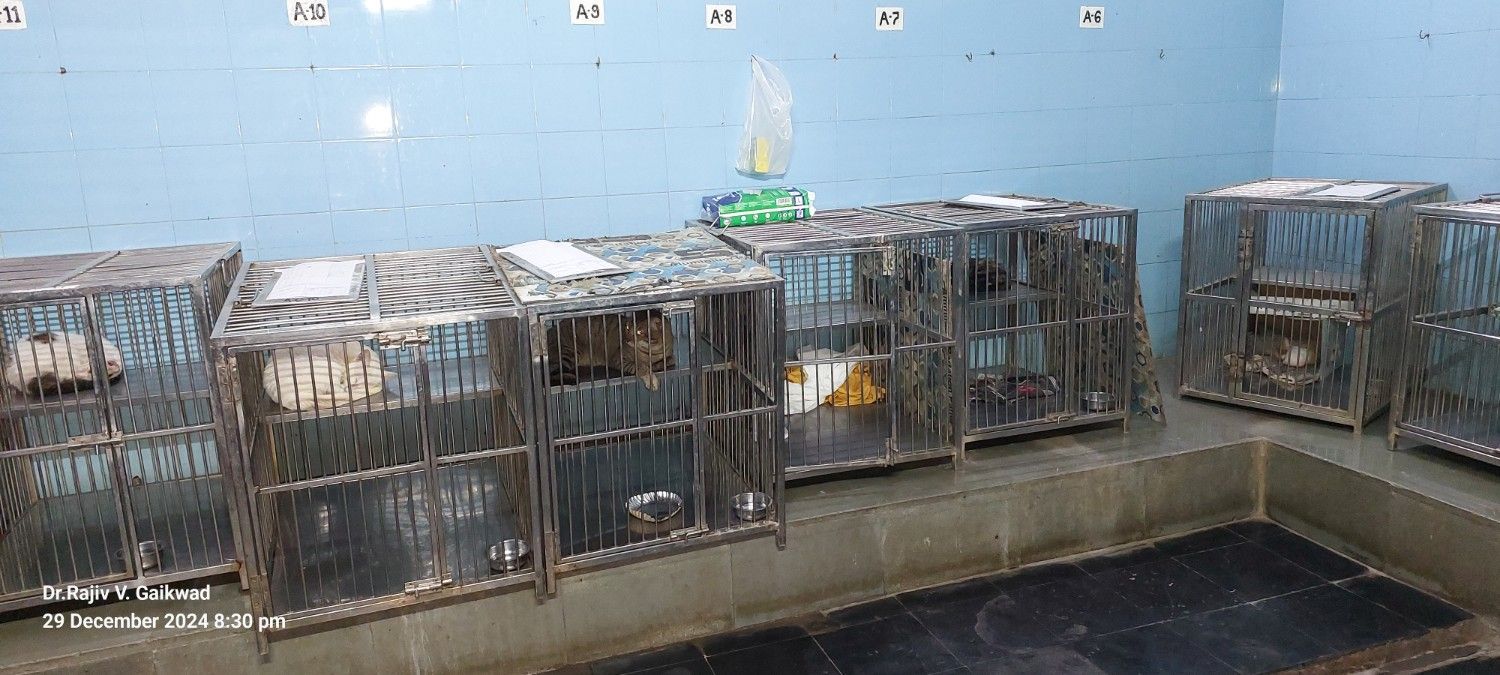 Mumbai Veterinary College - Facilites