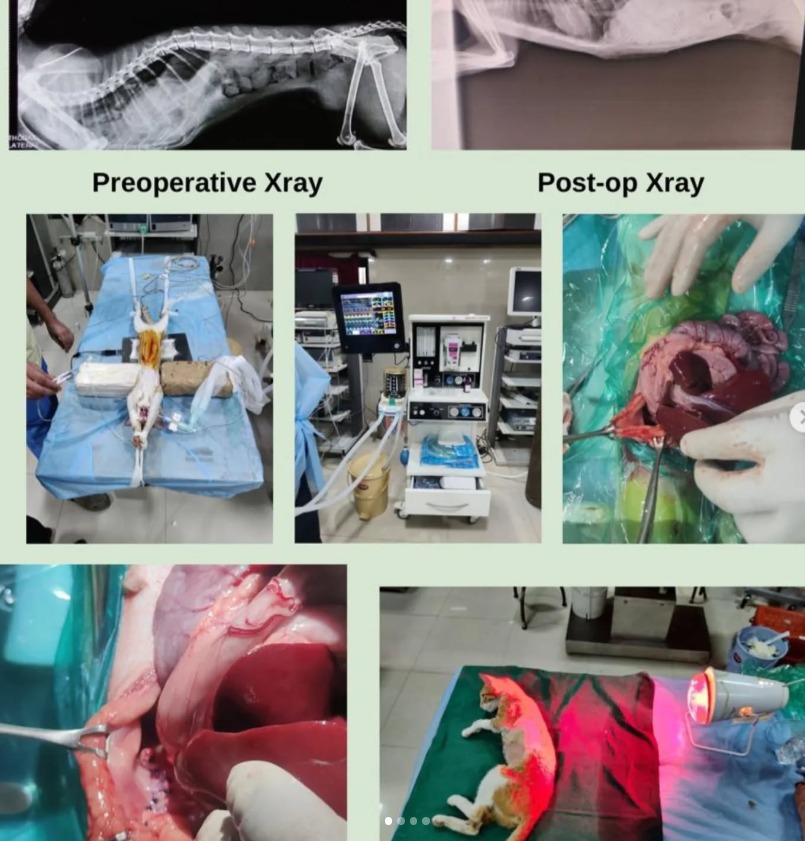 Mumbai Veterinary College - Facilites