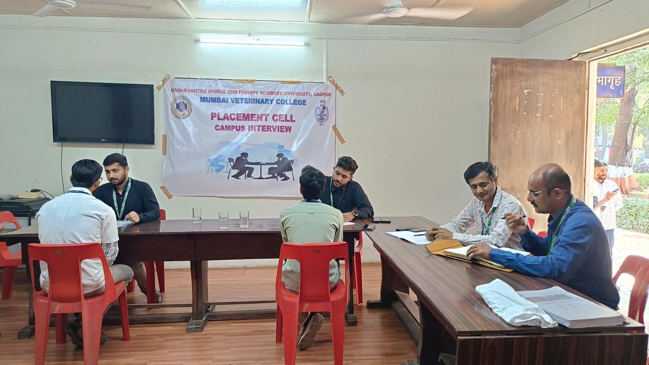 MVC - Placement Gallery