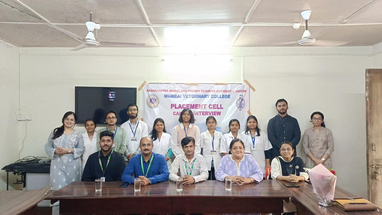 MVC - Placement Gallery